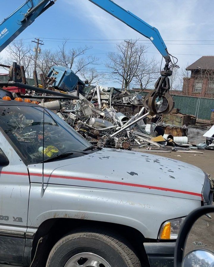 Top Rated Tree Services in Hamden, Connecticut