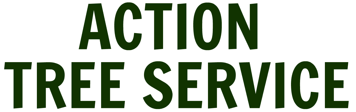 Action Tree Service | Arborist | Beaufort, SC