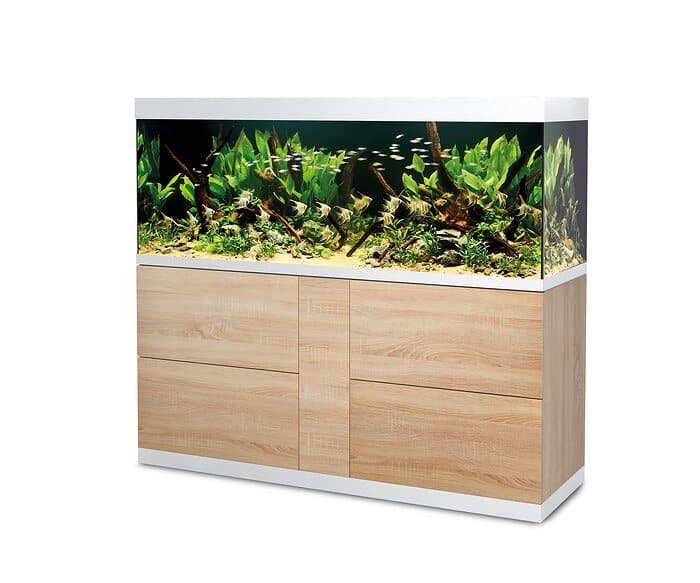 Oase aquariums | Farnborough | Lynchford Aquatics