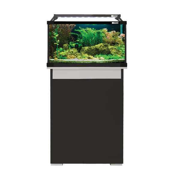 AquaOne aquariums | Farnborough | Lynchford Aquatics