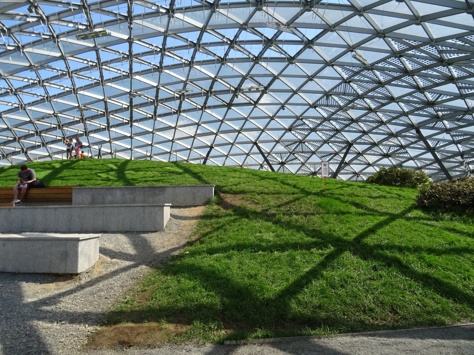 Fibonacci blossom - Rhinoceros 7 Grasshopper floral pattern