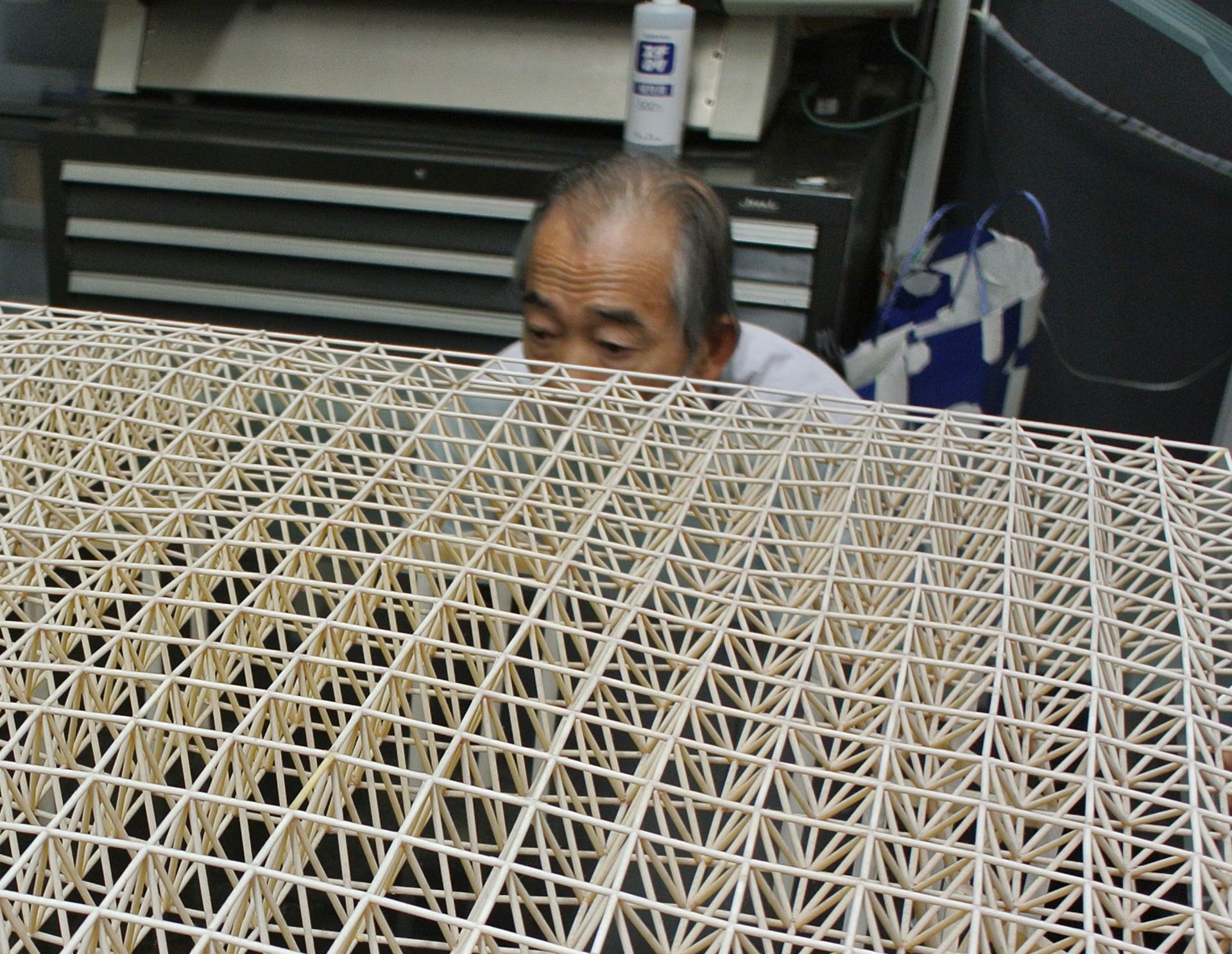 Fibonacci blossom - Rhinoceros 7 Grasshopper floral pattern