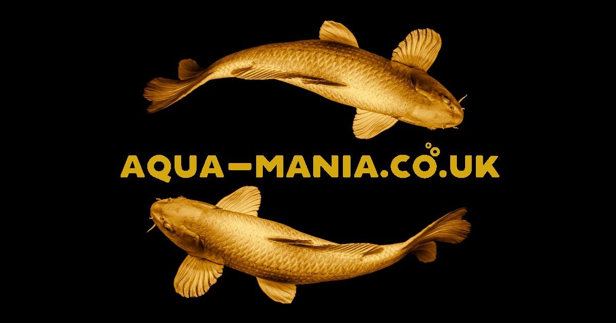 Aqua-Mania