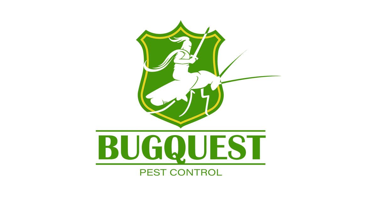 Pest Control Services | Decatur, AL | BugQuest Pest Control
