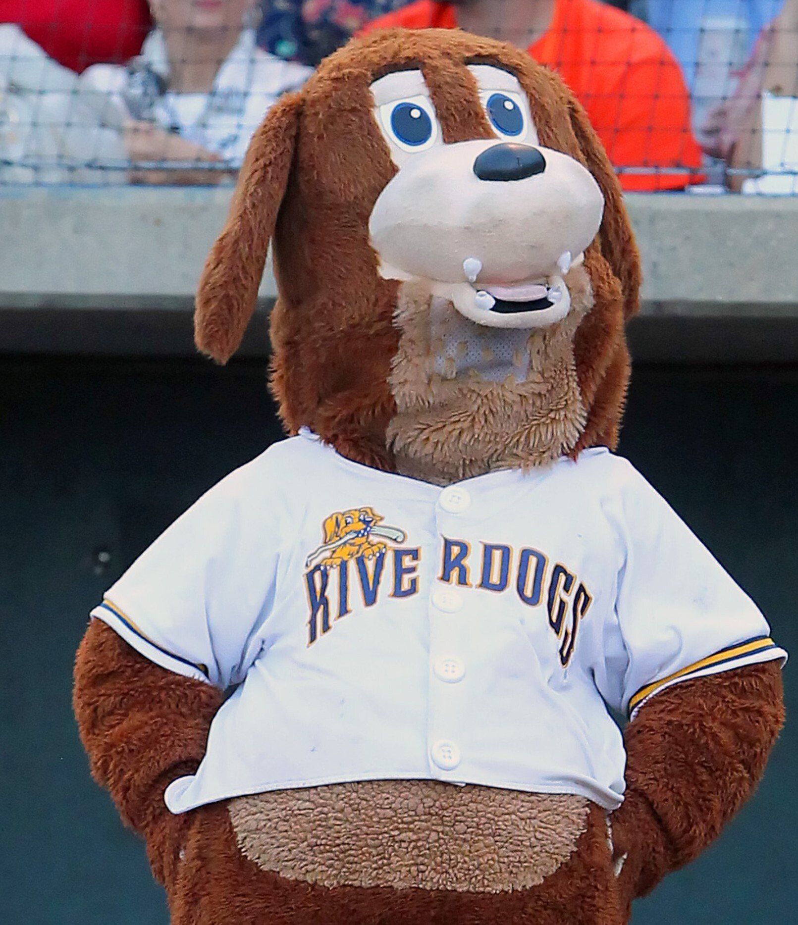 Mount Pleasant Chamber of Commerce | Charleston, SC