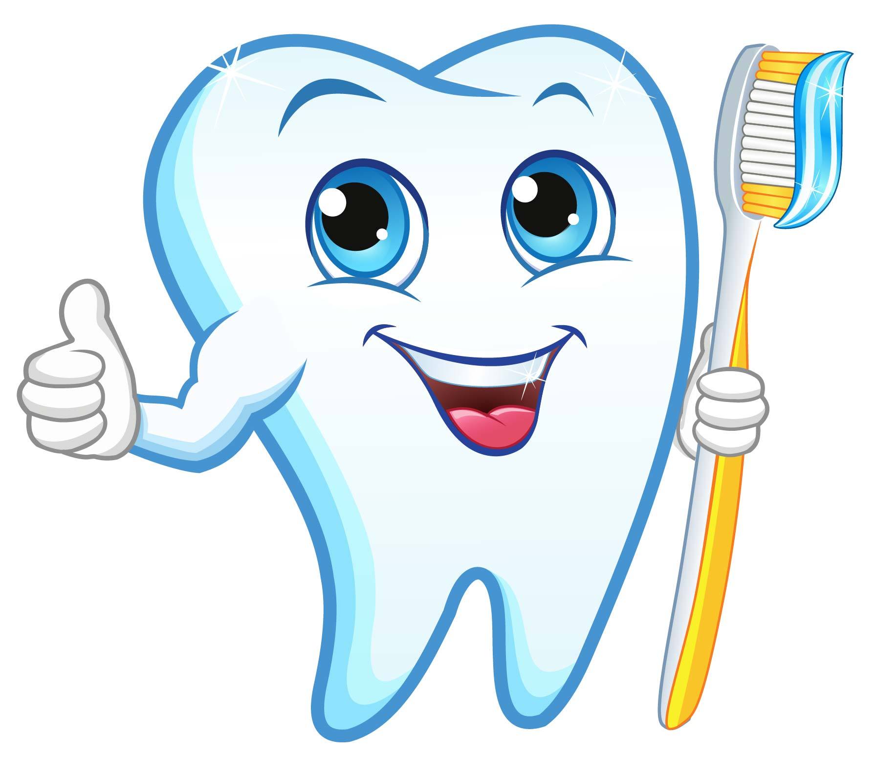 Eruption Schedule For Baby Teeth | When Do Child Teeth Erupt?