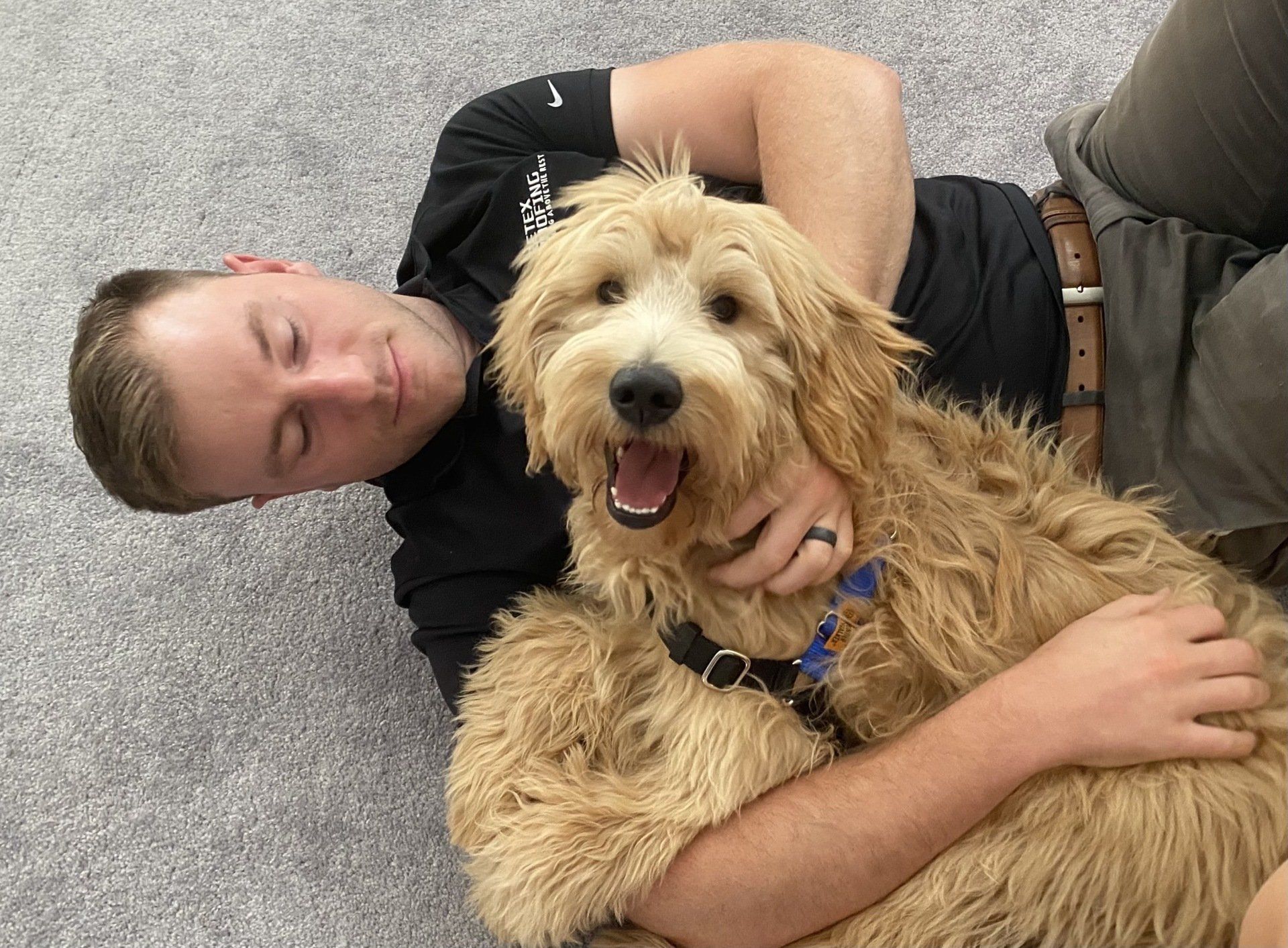 What's A Dog's Favorite Type of Construction?
