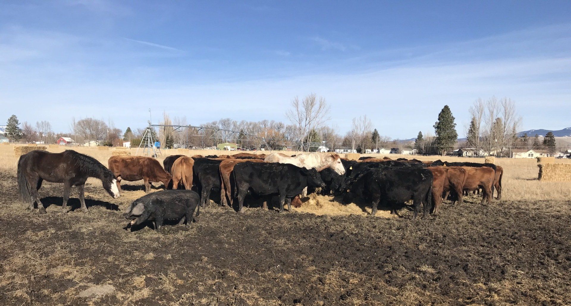 The Power of a Chart