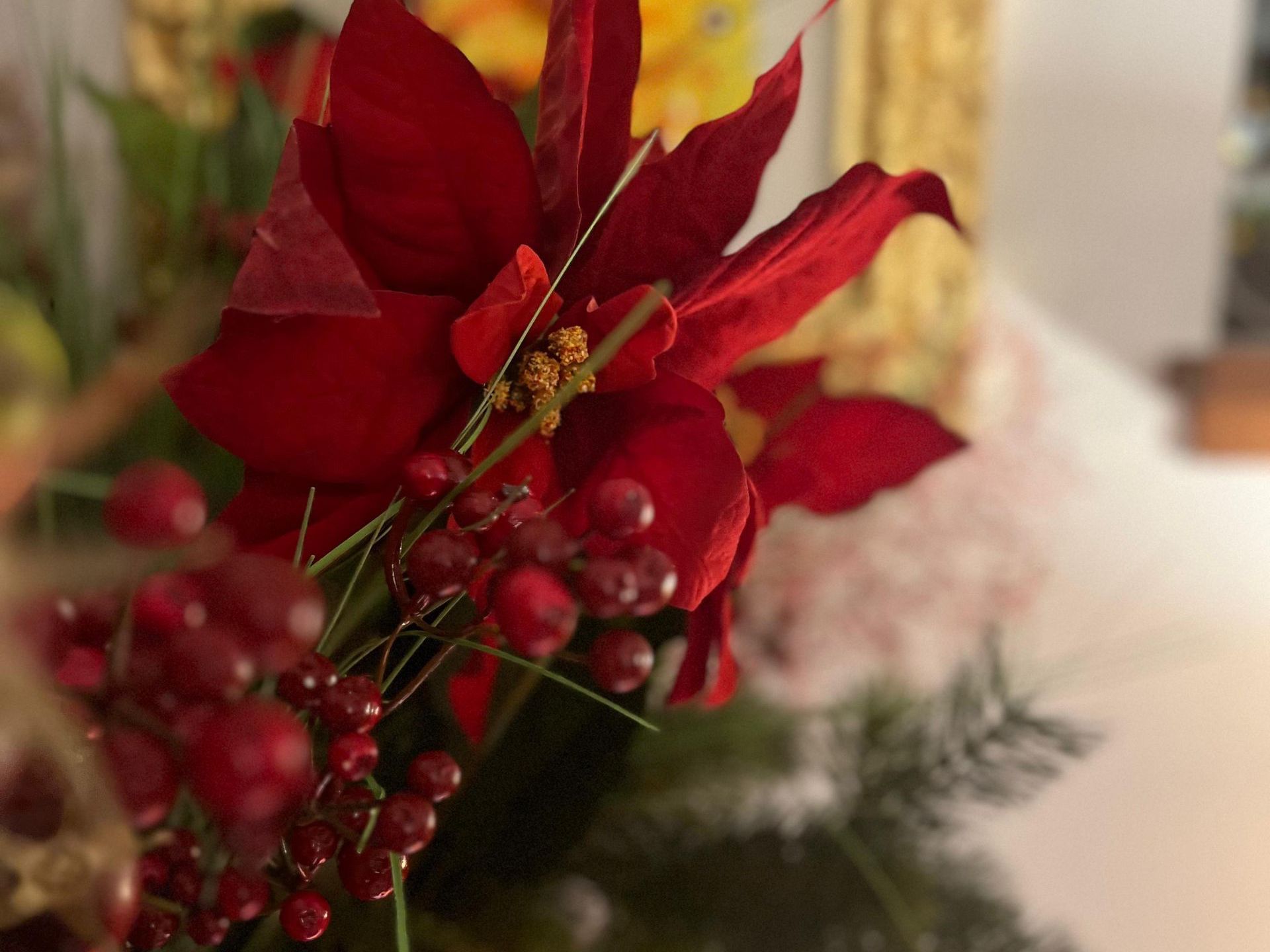 Ruzzini Palace Hotel Venice Official Site | Luxury Hotel in Venice