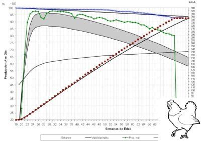 Alcon de Colombia - Ponedoras