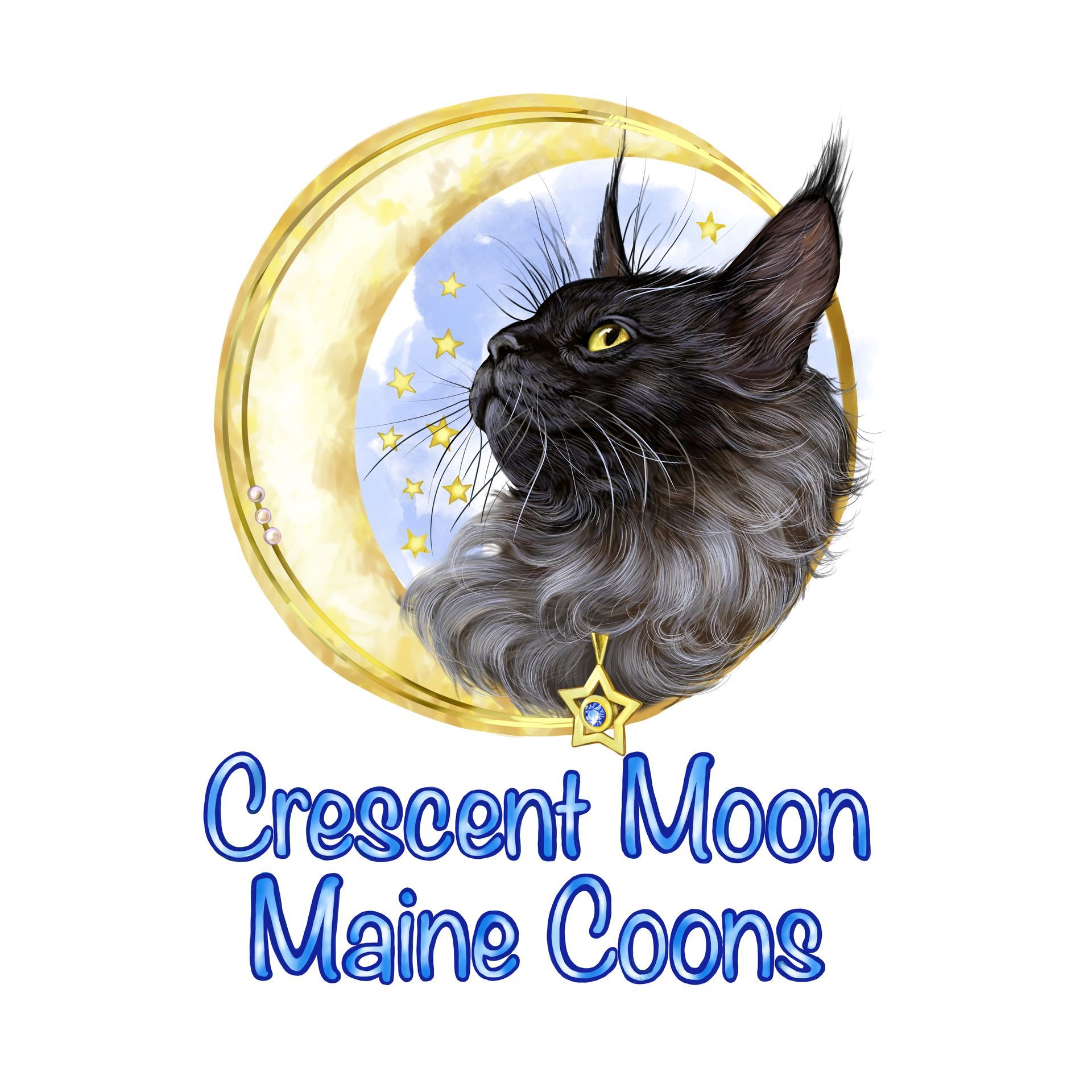 TICA or CFA Registered Maine Coons at Crescent Moon Maine Coons