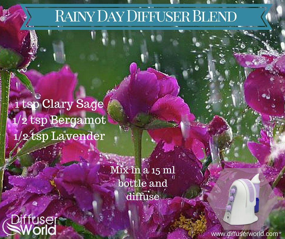 Rainy Day Diffuser Blend
