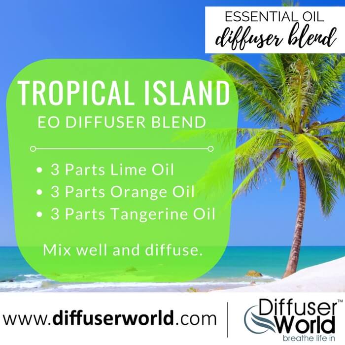 Tropical Island Diffuser Blend