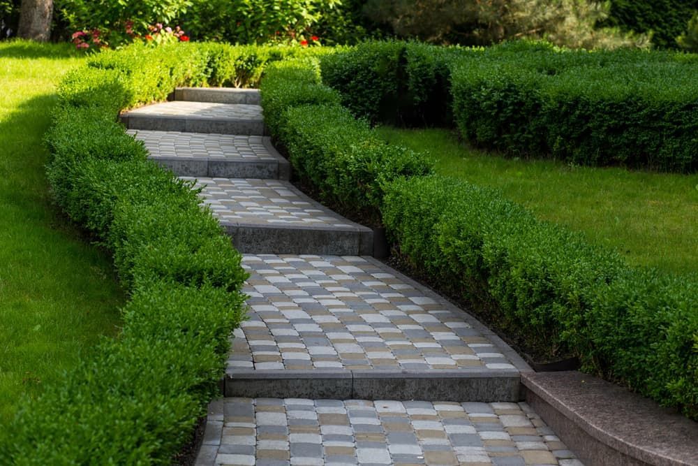 Wollongong Strata | Strata Services in Wollongong