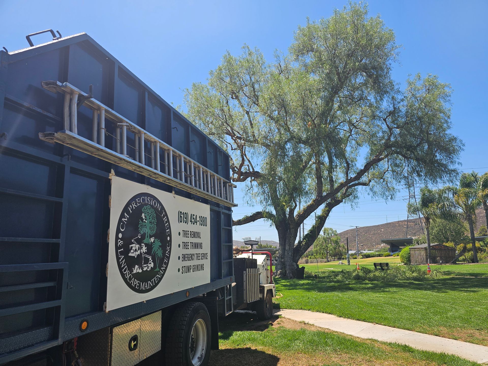 Professional Commercial Tree Services in San Diego, CA