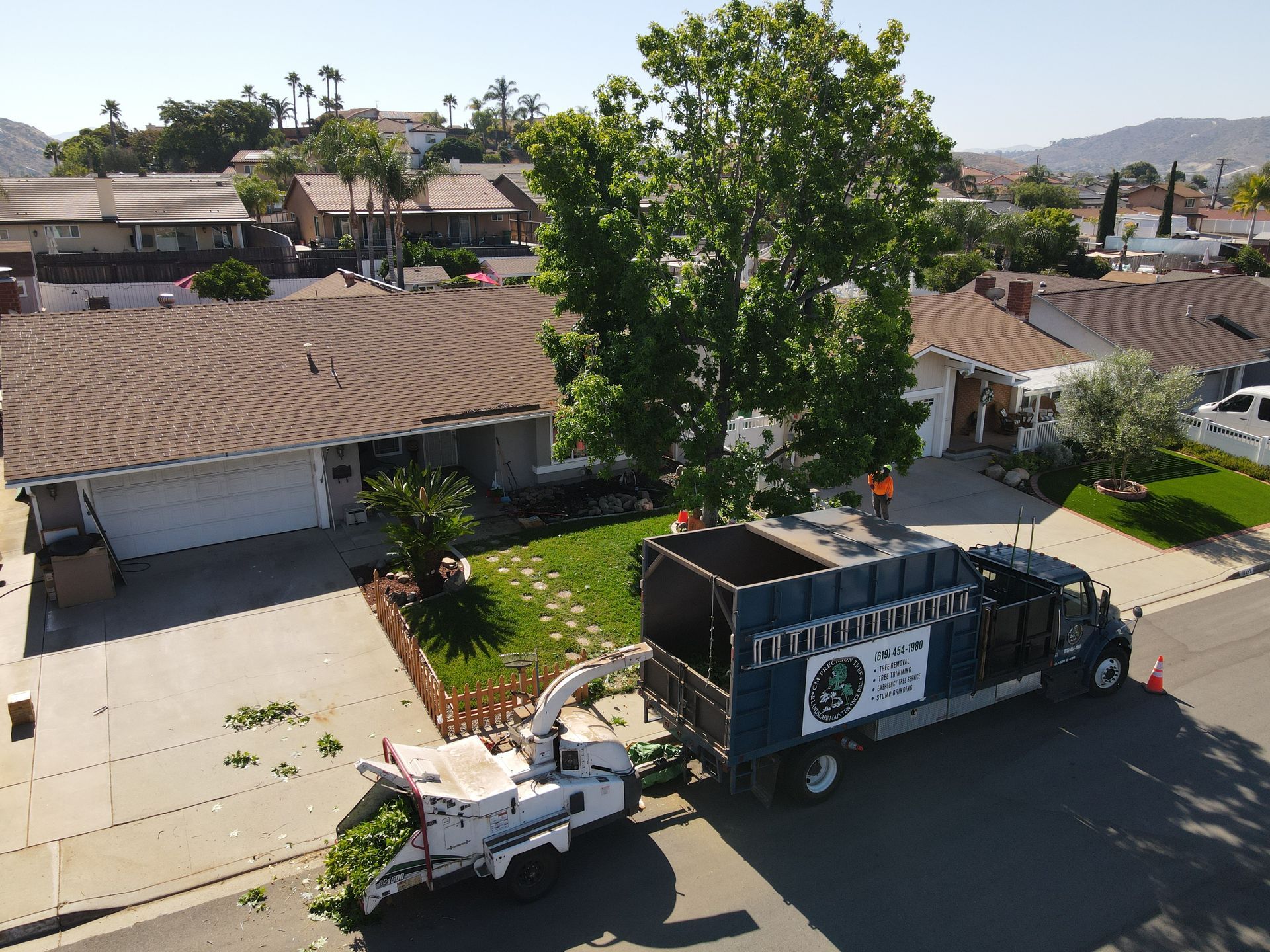 Professional Commercial Tree Services in San Diego, CA