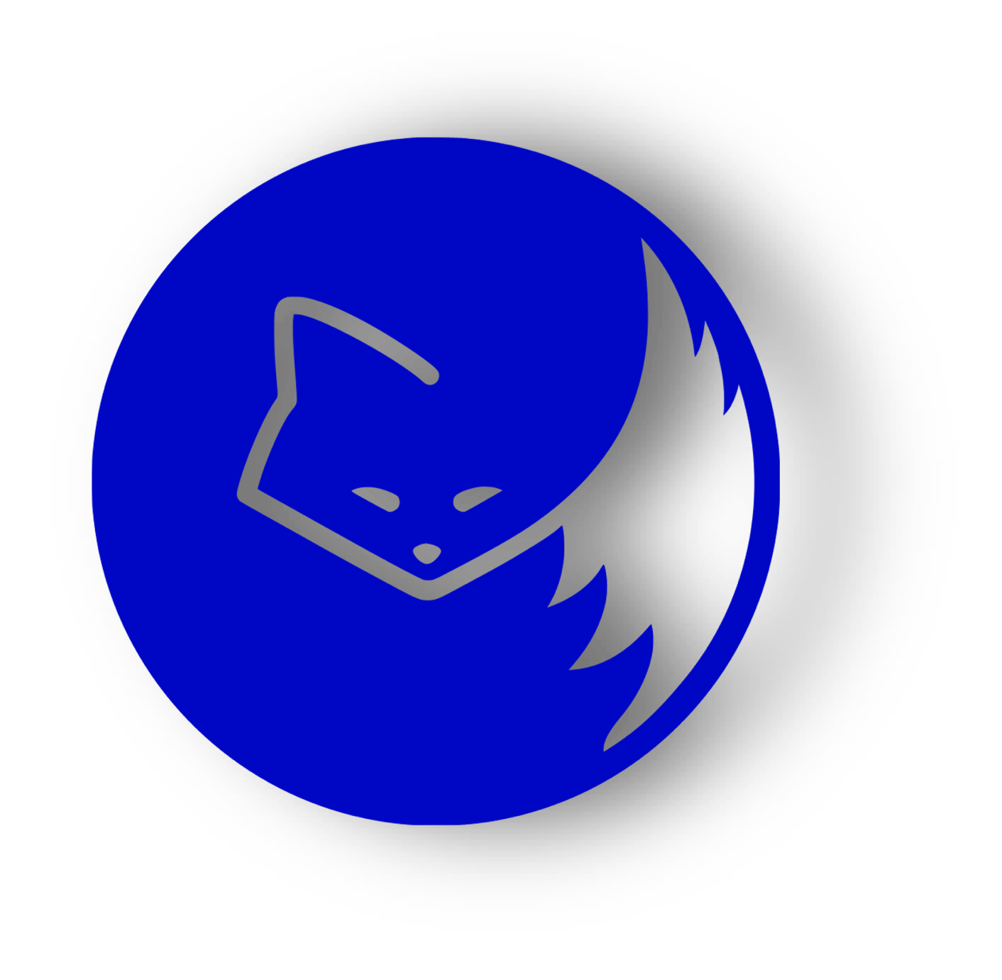 Swamp Fox Media: Professional Cinematography and Videography