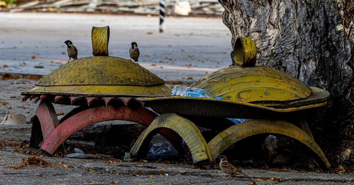 Ways to get involved in environmental waste solutions.