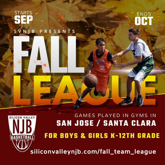 Silicon Valley Section