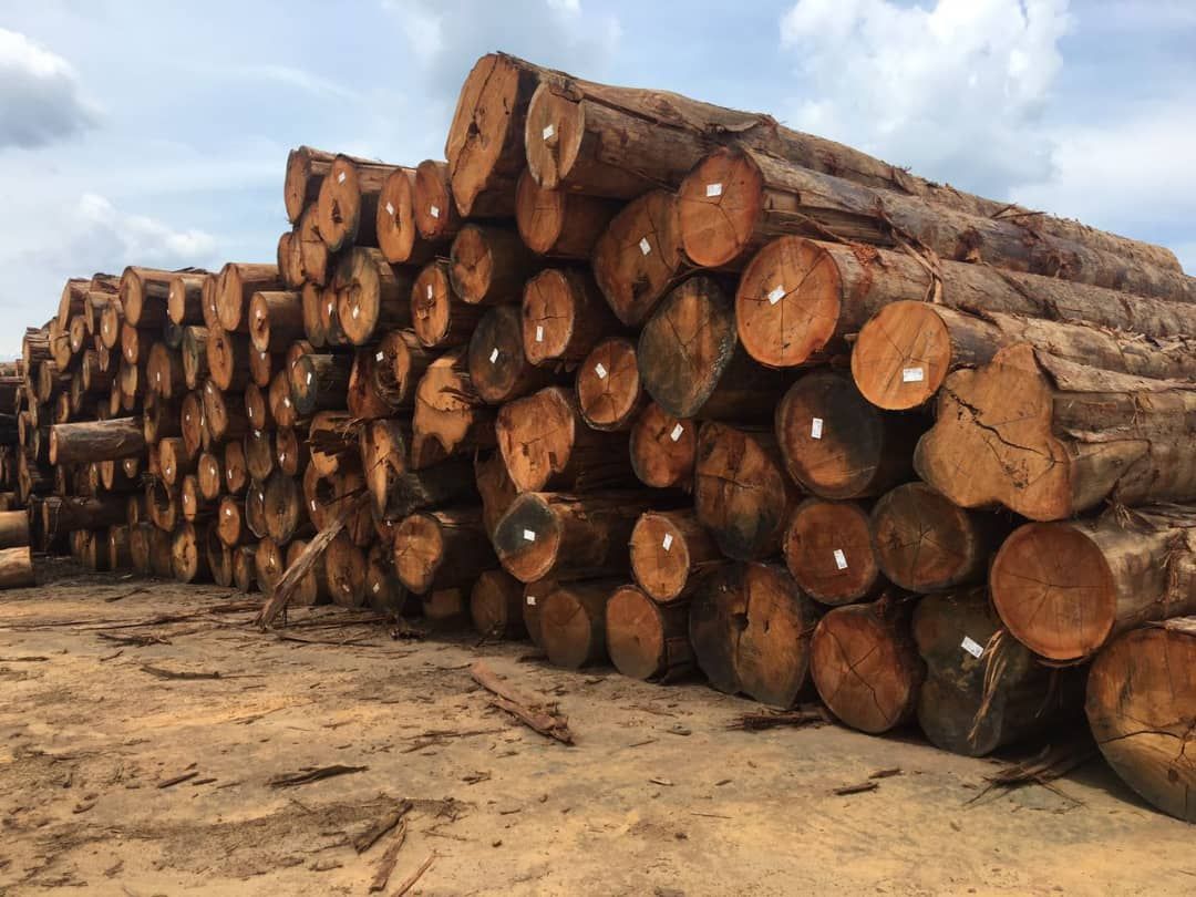 Our Products | Soon Heng Timber Industries Malaysia