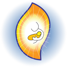 About Baby Grace: Supporting Families Since 2006