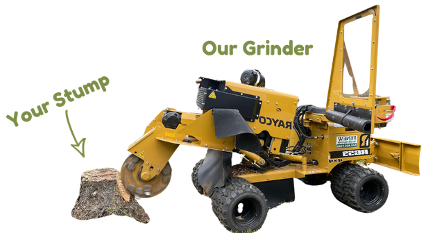 Stump Grinder Quotes