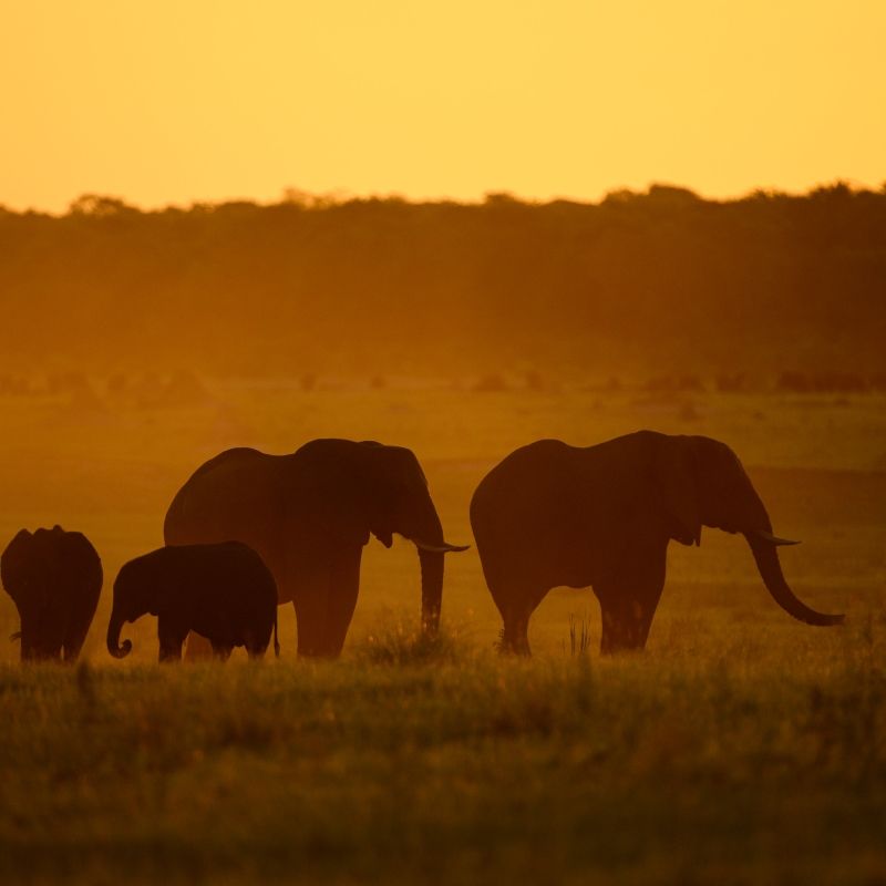 Africa DMC's | Destinations in Africa | Travel