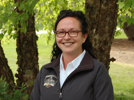 Custom Landscaping, Installation & Maintenance Services | Seasonal Services