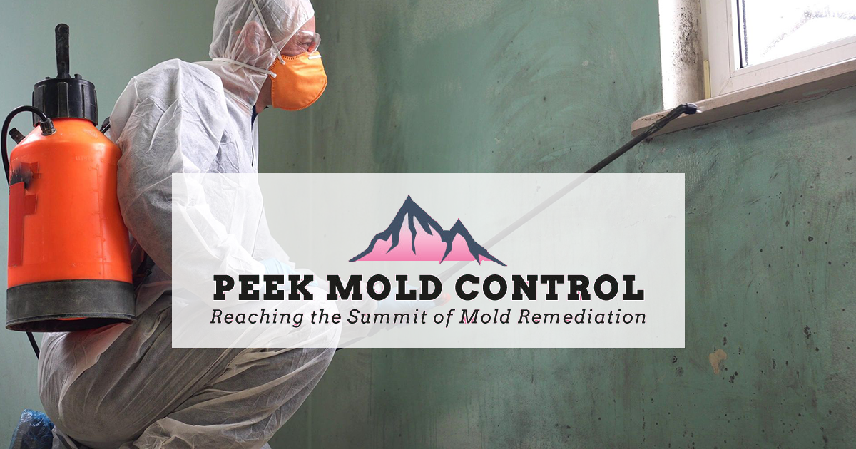 Mold Remediation | Peek Mold Control