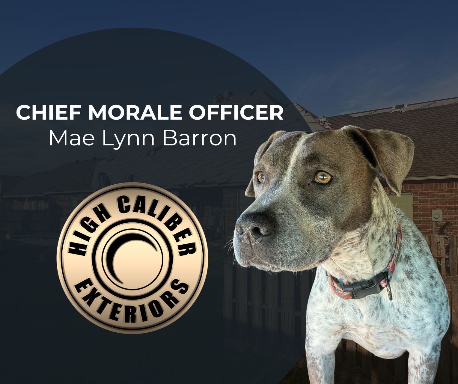 High Caliber Exteriors | Roofing & Gutters
