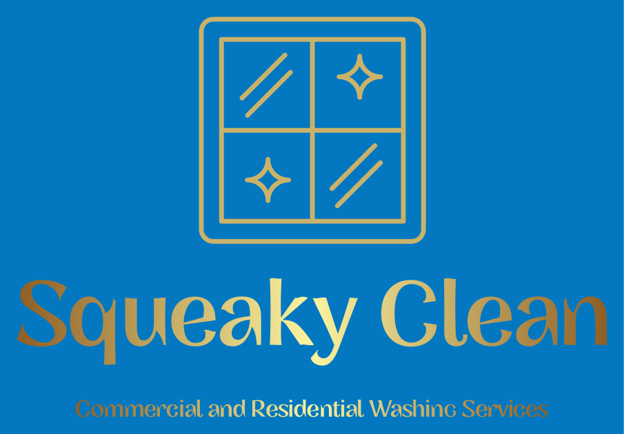 Home [www.squeakycleanwashers.com]