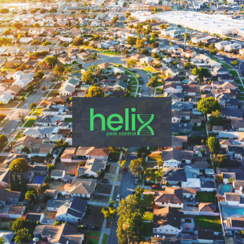 Save $55 on Pest Control in Caldwell