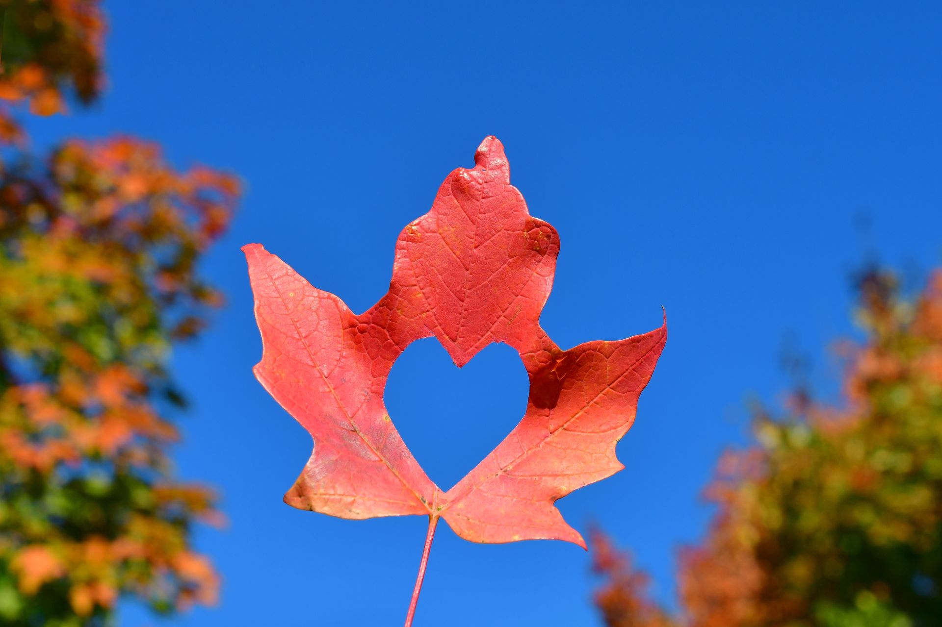 Digby Pines Golf Resort & Spa | Digby, Nova Scotia Hotel