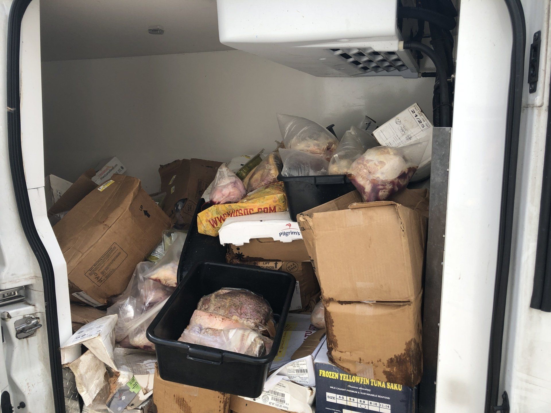 THE STAGES OF HUMAN DECOMPOSITION