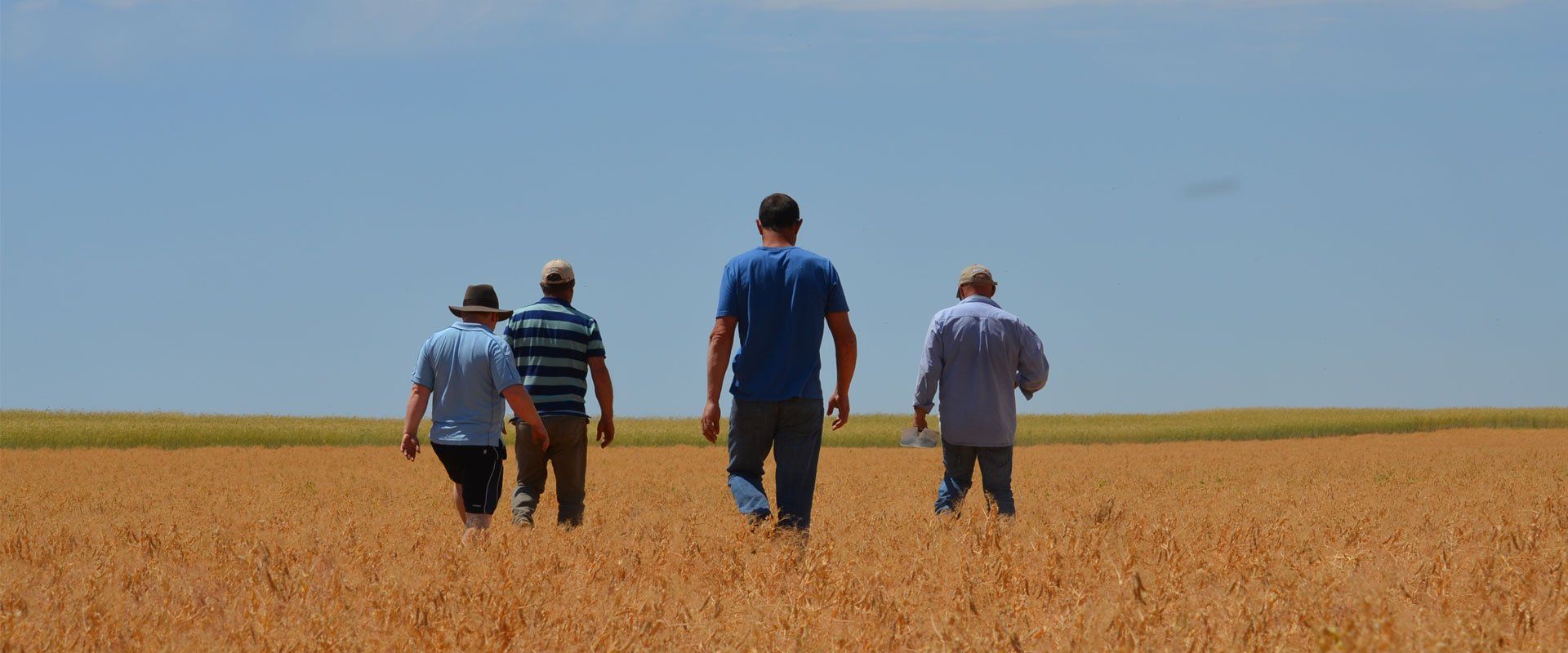 Partnership Key to Improving Soil Health