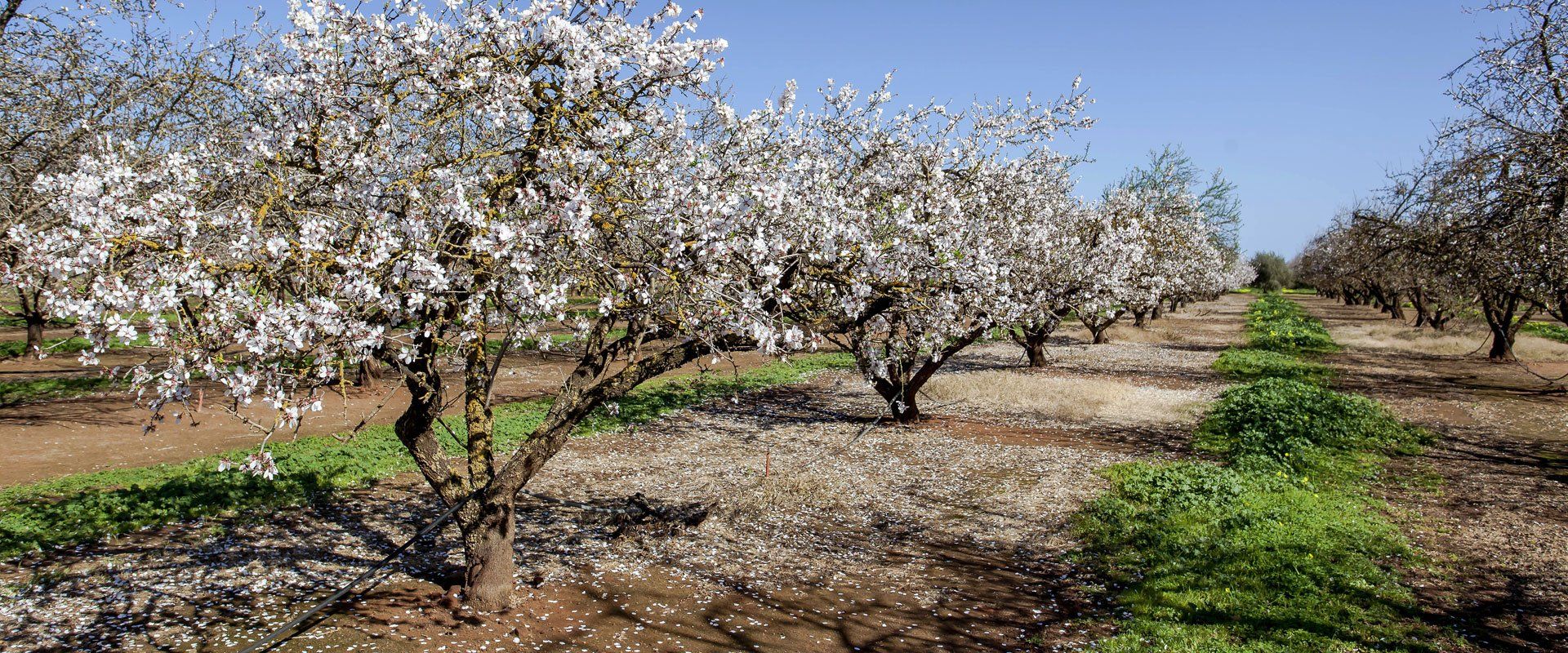 Vermiculture & Vermicompost Australia | Australian Vermiculture