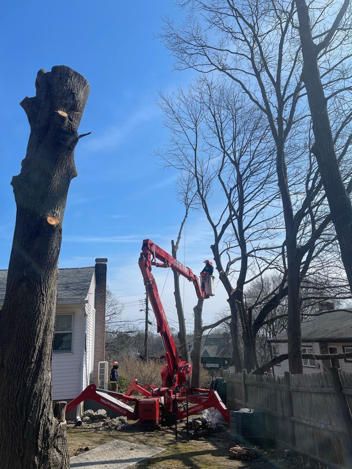 Tree Services | Revere, MA | PEMA Tree Services