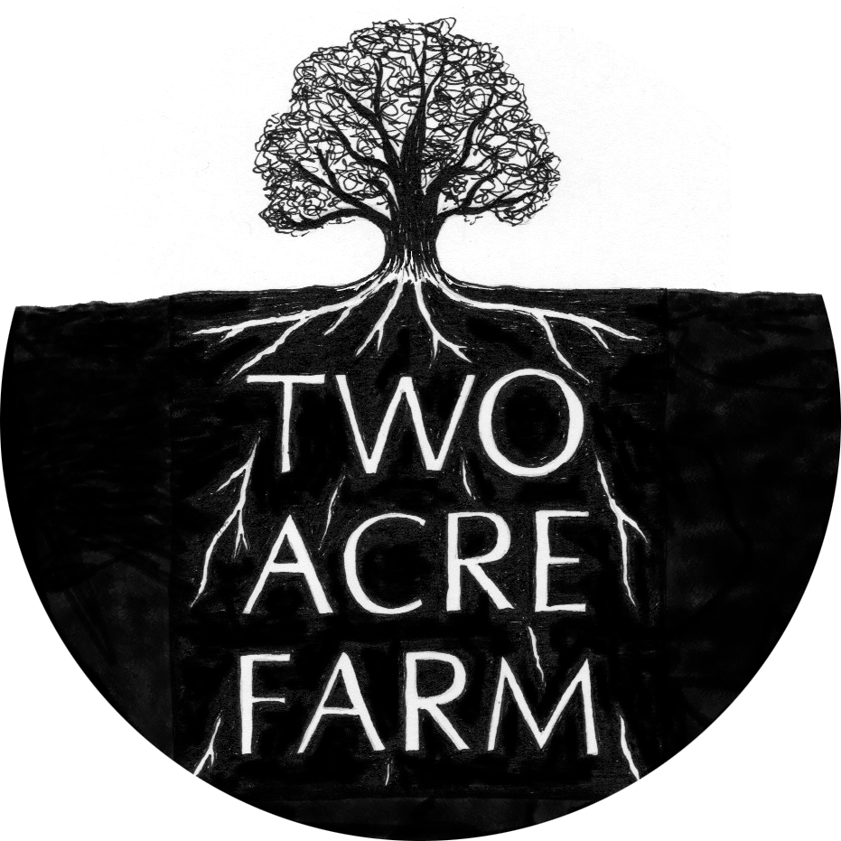 Two Acre Farm - market garden in Somerset, UK