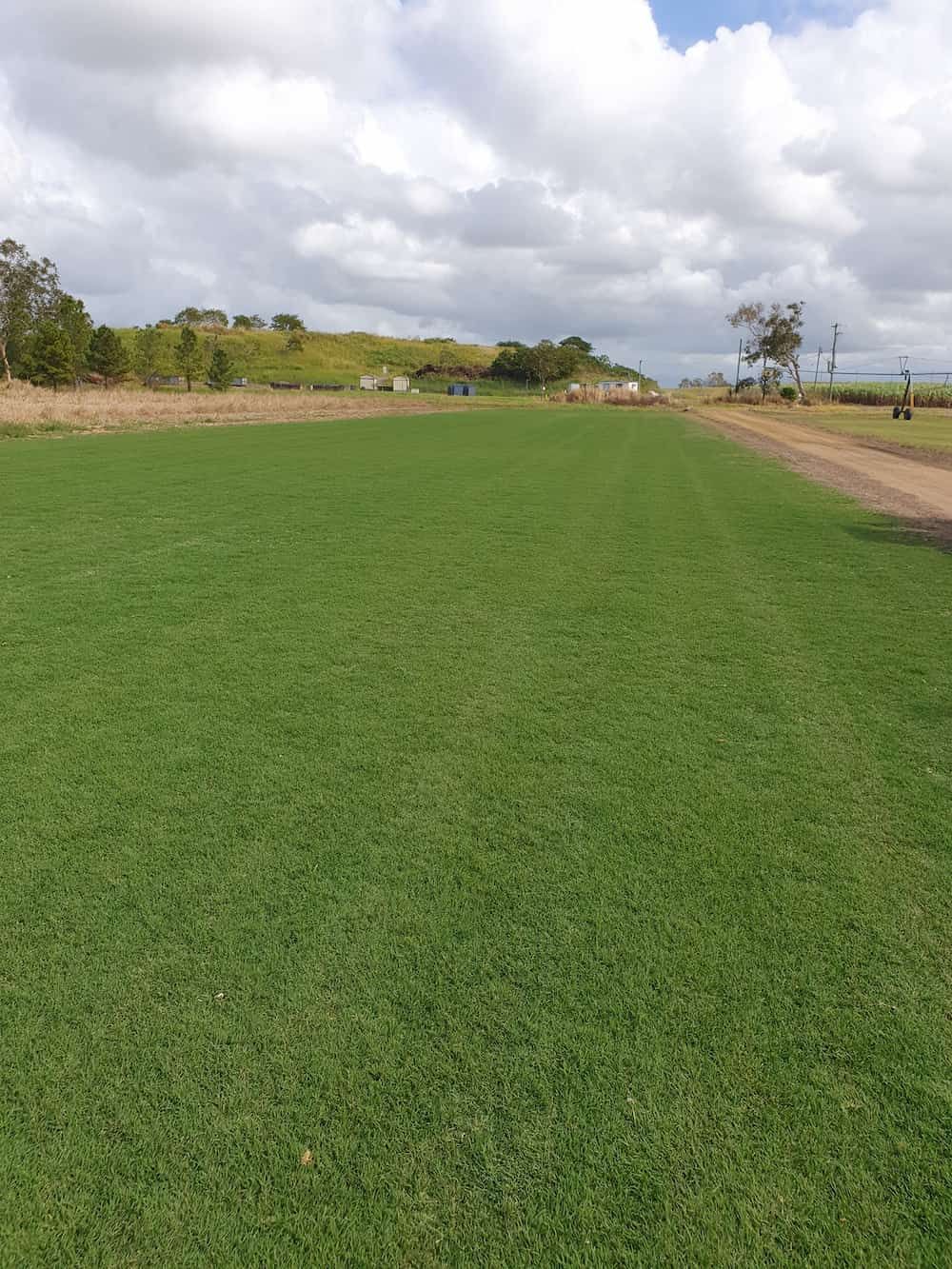 Turf Varieties Mackay | Marian Lawns