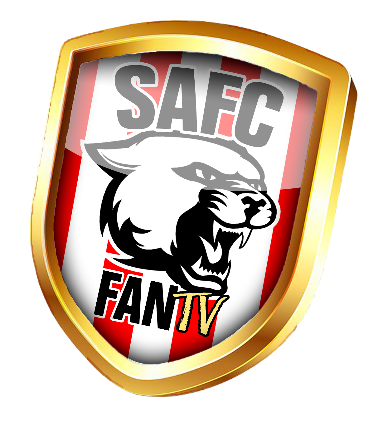 SAFC Fan TV