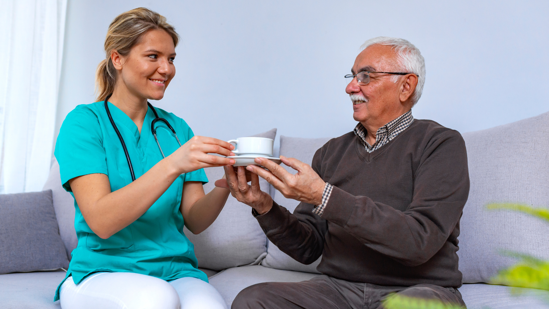 What Are the Essential Components of Hospice Care Plans?