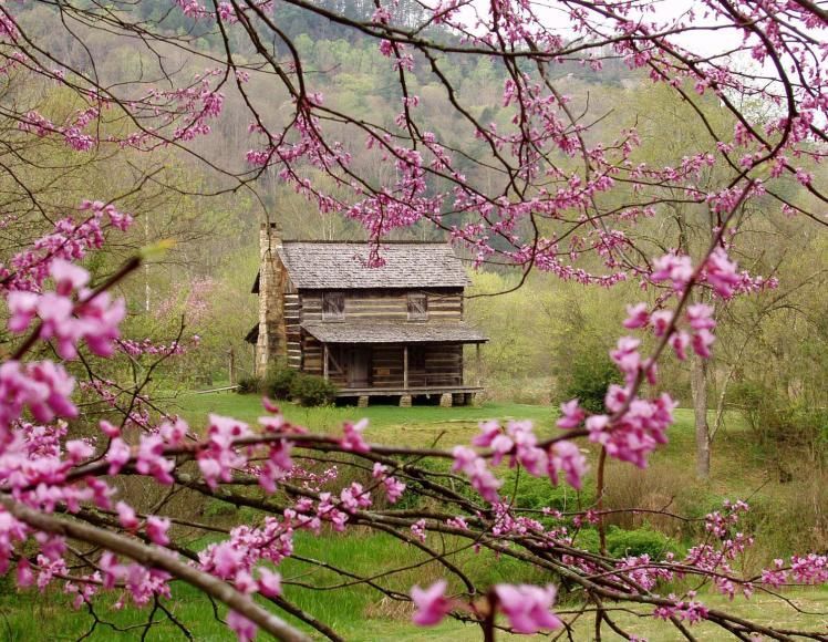 Why You should Visit Red River Gorge, KY in Spring