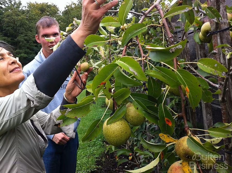 Zorg | Moestuin Jagtlust