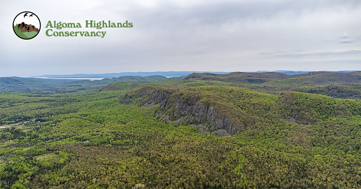 Our Trails, Maps, Trail Policy