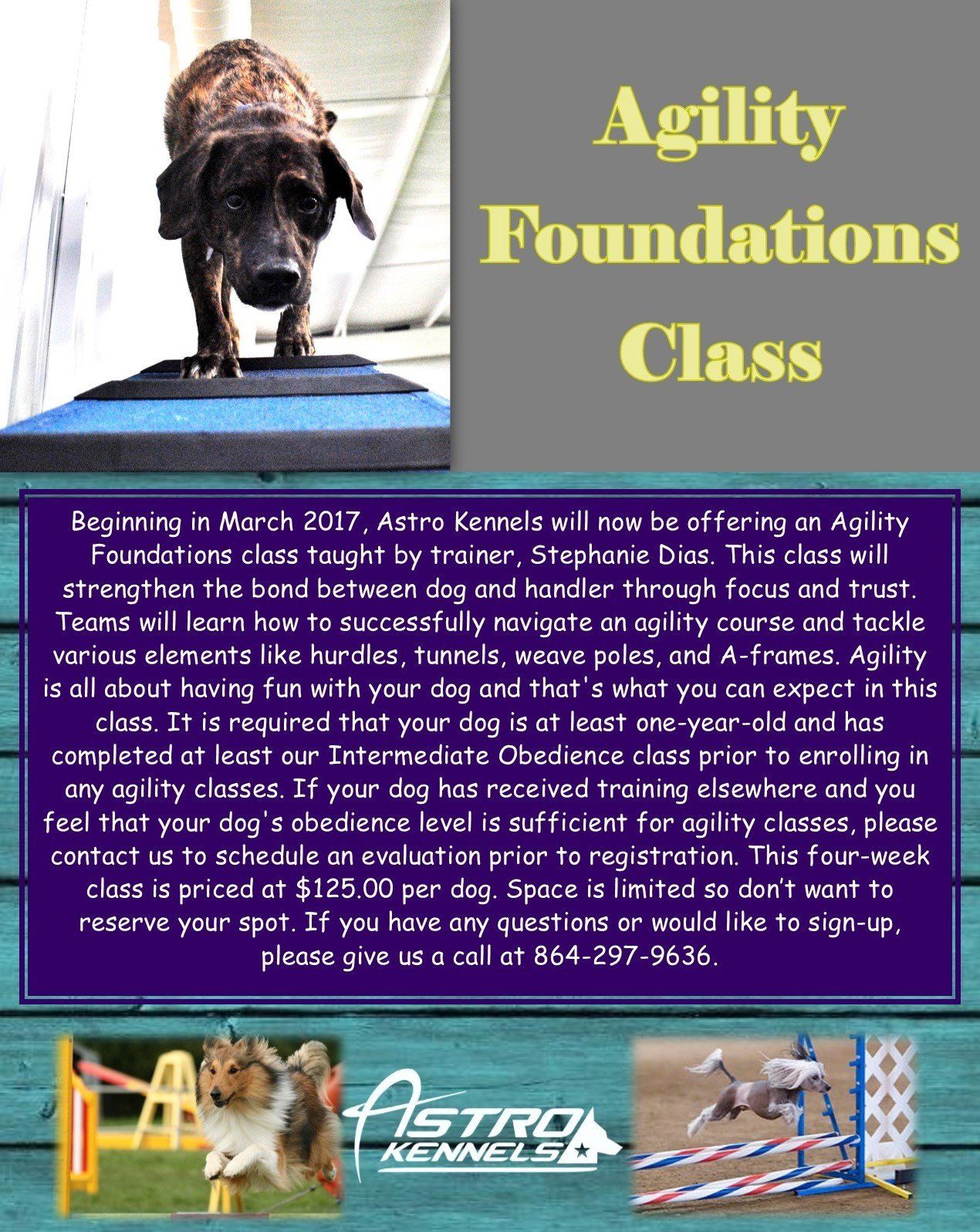 New Agility Foundations Class begins in March!