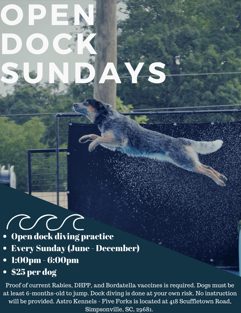 Open Dock Sundays