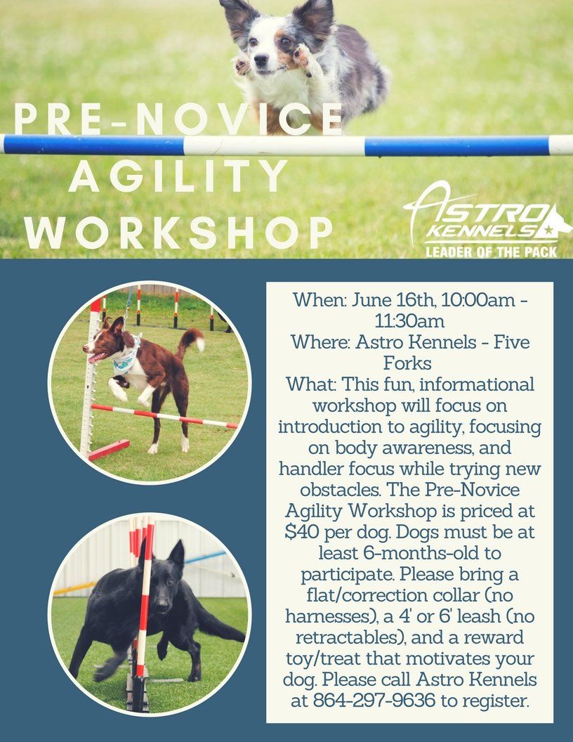 Pre-Novice Agility Workshop