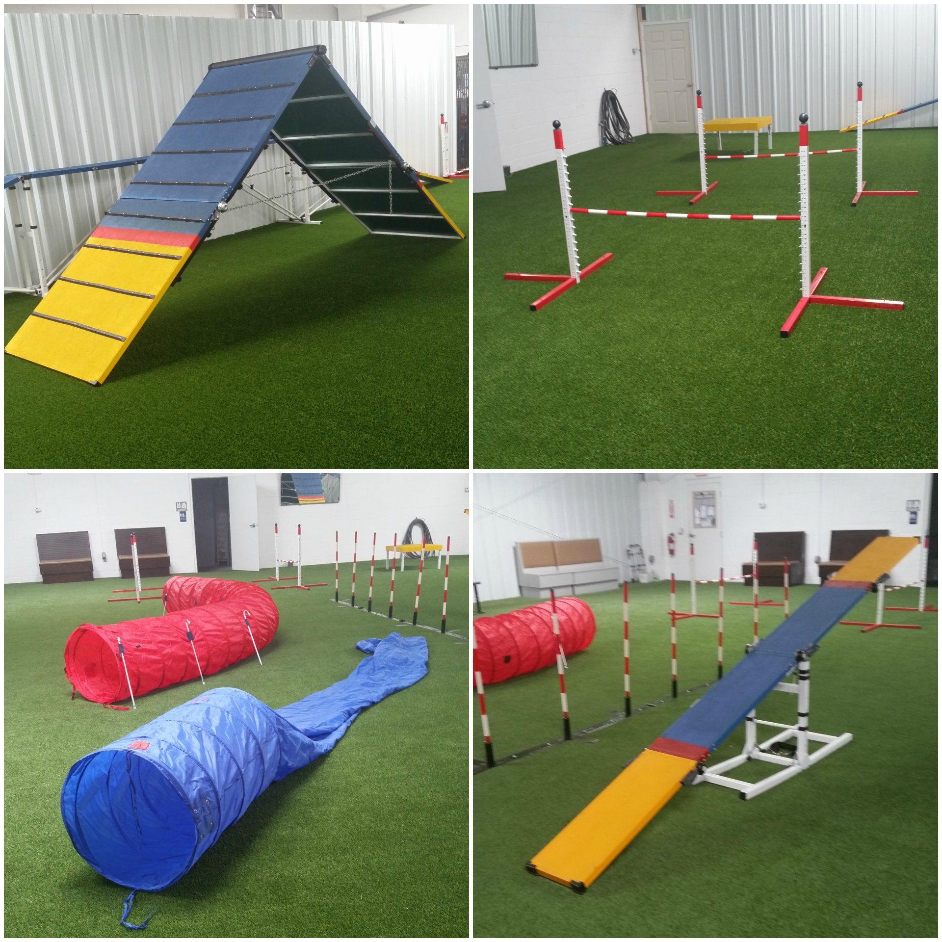 New Agility Training Equipment!