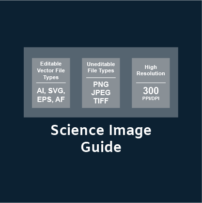 Best Color Palettes for Scientific Figures and Data Visualizations