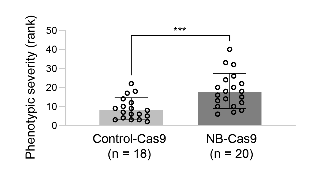 Scientific Data Visualization Techniques and Tools